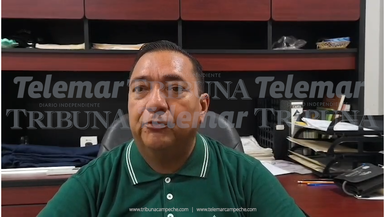 SIN OBRA PÚBLICA Y CON INVERSIONISTA A MODO VAMOS HACIA EL COLAPSO ...